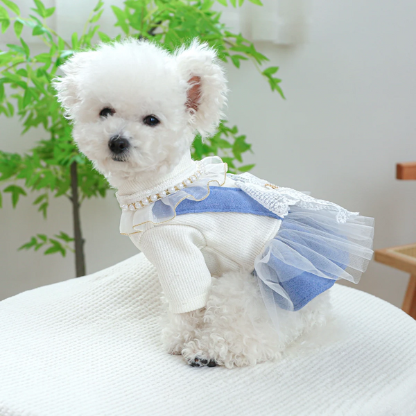 Chabby Chic Victorian Dog Dress | Poshdoglife.com - Posh Dog Life