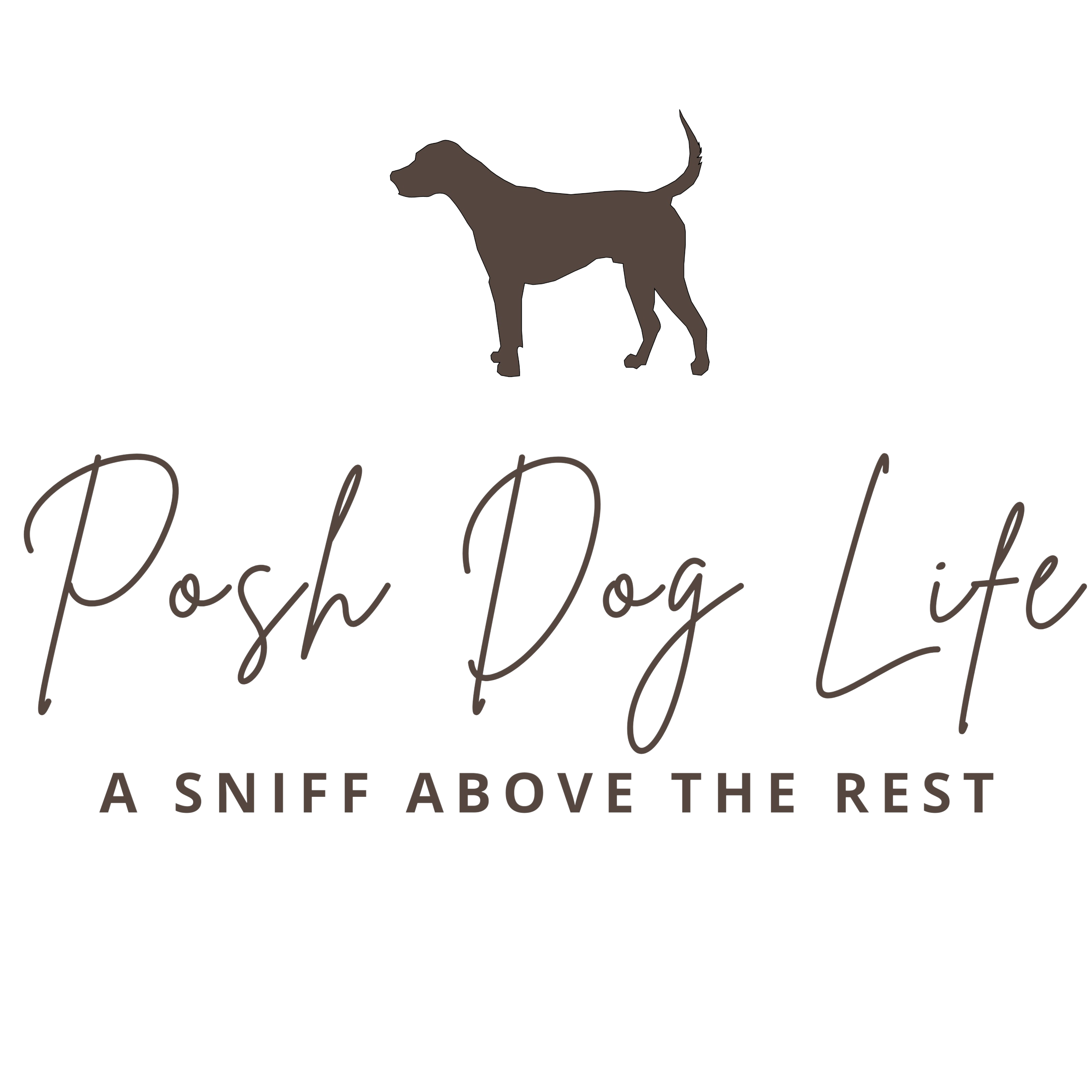 Posh Dog Life | A Sniff Above the Rest | Chic Dog Apparel