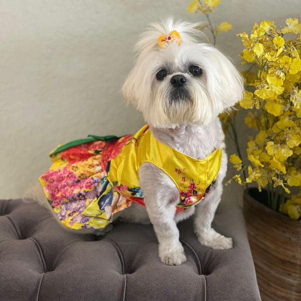 Yellow Floral Dog Dress | Party | Wedding | Poshdoglife.com - Posh Dog Life